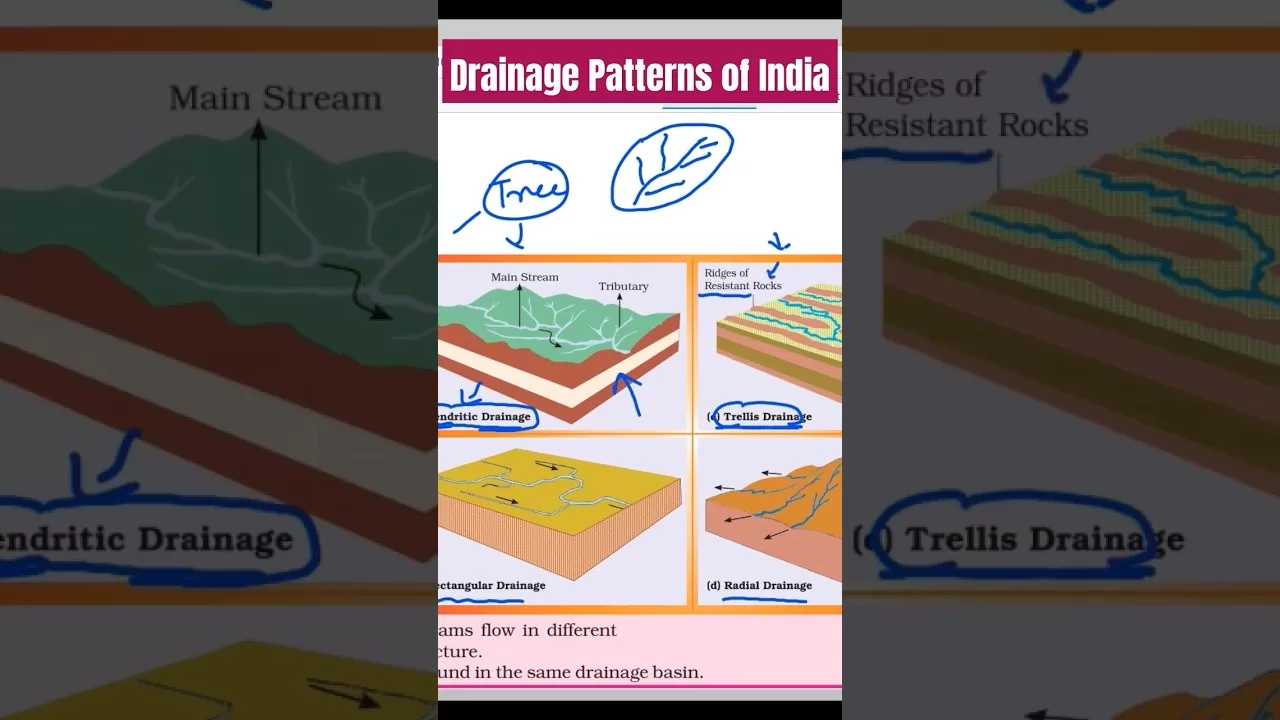Indian Drainage Patterns Dendritic Trellis Shorts My Geo Beats