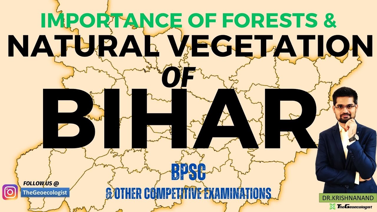 Natural Vegetation of Bihar- Importance of Forests in Bihar-BPSC ...